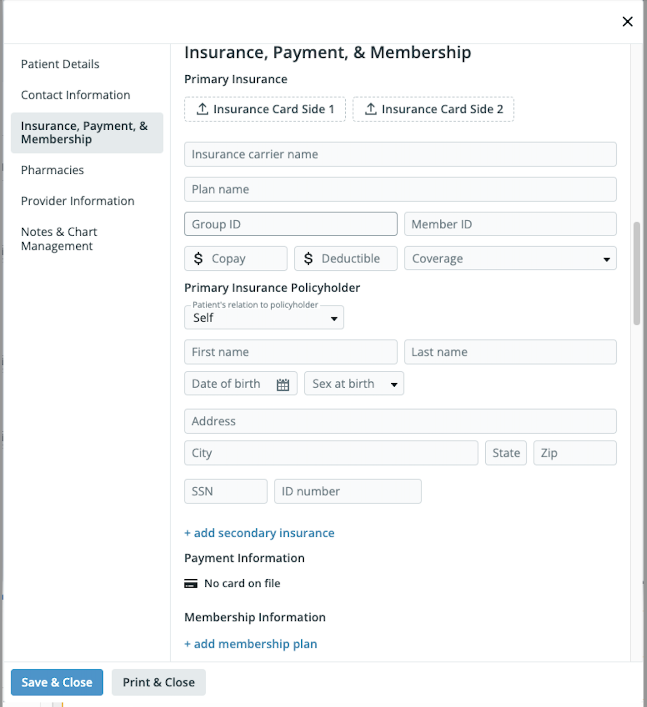 Patient Demographics Guide